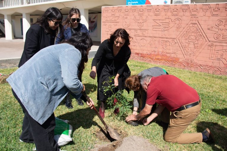 UTarapacá realiza ciclo de actividades en conmemoración por los 50 años del Golpe Cívico Militar ...